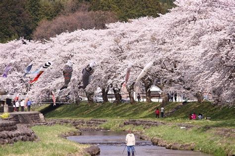 中山河川公園観光スポット遊佐町庄内地方やまがたへの旅 山形県の公式観光旅行情報サイト
