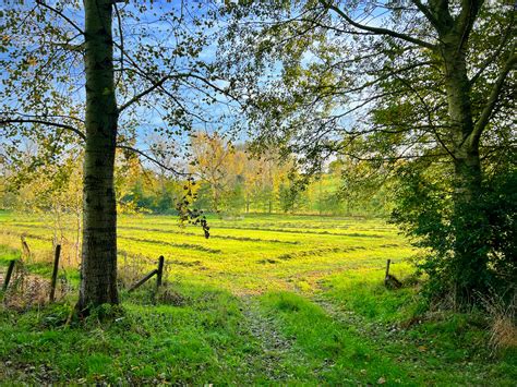 Ulrich Libbrechtwandeling Wndln