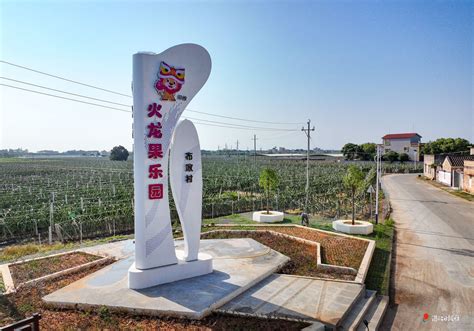 遂溪杨柑：打造火龙果乐园 发展“产业园”经济湛江云媒（湛江新闻网）