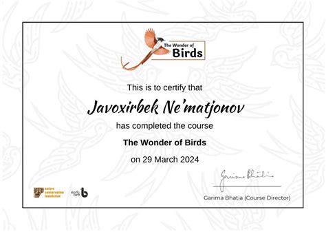 Javoxirbek Nematjonov On Linkedin Thewonderofbirds Earlybird Birdwatching Naturelovers