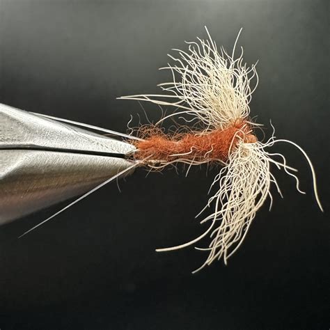 Snowshoe Rusty Spinner Gates Au Sable Lodge