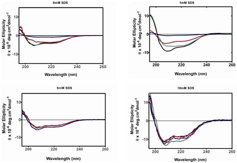 Aliquots Of Ataxin 3 Q64 Were Taken From A Fibrillogenesis Time Course