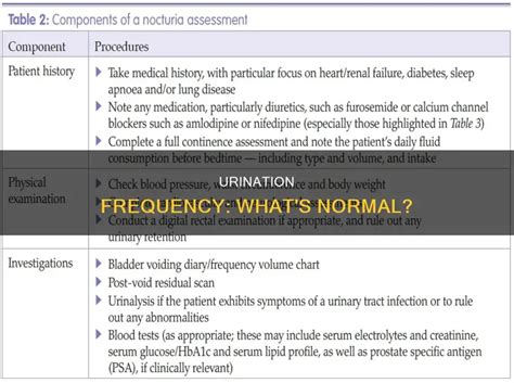 Urination Frequency Whats Normal Medshun