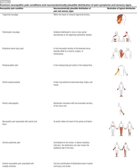 Neuropathic Pain Physiopedia