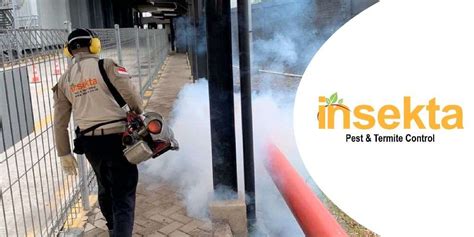 Pengertian Pest Control Tugas Dan Manfaatnya Insekta
