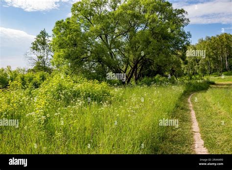 Beautiful Green Landscape Overlooking A Walking Path Running Among