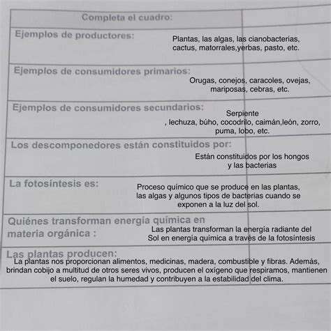 Completa El Cuadro Brainly Lat