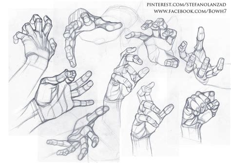 Hand Anatomy Drawing At Explore Collection Of Hand