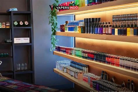 Best Refillable Vapes 2025 Vapexplore