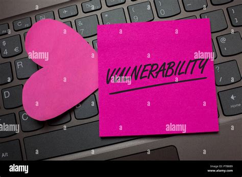 Conceptual Hand Writing Showing Vulnerability Business Photo Text Information Susceptibility