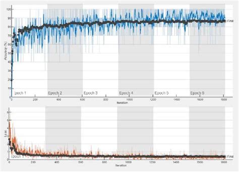Accuracy And Loss Functions For Flower Dataset Download Scientific