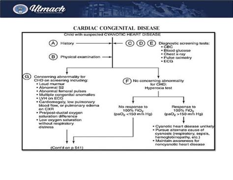 Cardiac Congenital Diseases Algorithm Ppt