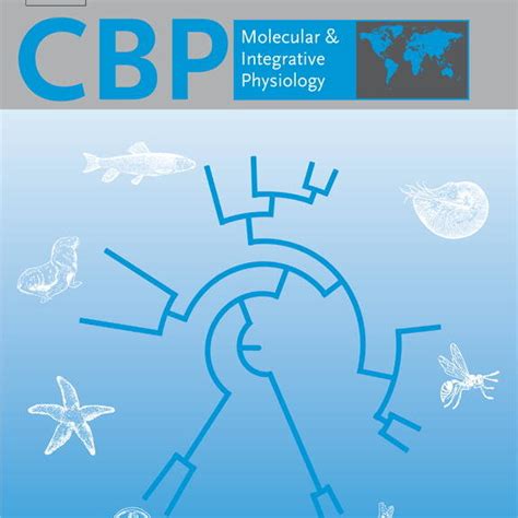 Junctional Complex Attributes Subject To Morphometric Analysis A Tem