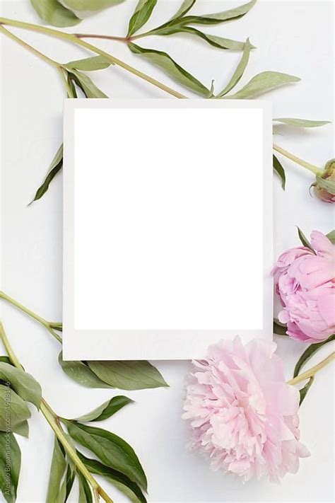 Marco Y Flores Rosadas Fotomontagem Pixiz