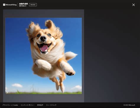 画像 その他