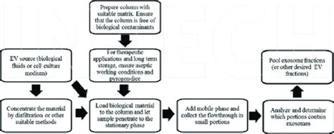 General Steps Followed During Ev Isolation By Size Exclusion Download Scientific Diagram