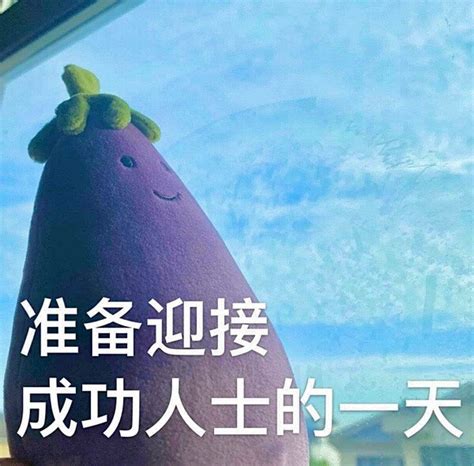 茄子表情包 堆糖美图壁纸兴趣社区