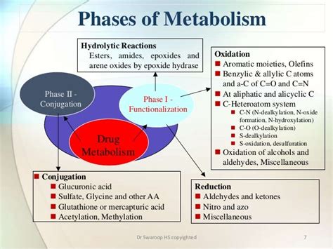 Drug Metabolism