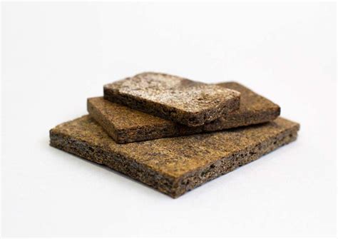 Potato Waste Inspires Sustainable New Building Material