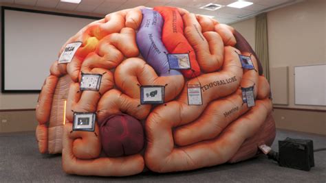 Mega Brain Exhibit Comes To Eiph Kifi