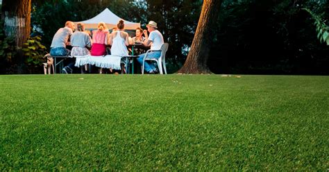 C Sped Artificial Barato Es Buena Decisi N Evoturf