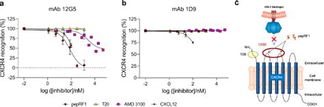 Effect Of Peprf1 On Cxcr4 Recognition At Cell Surface Primary Cd4