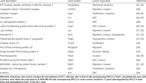 affymetrix microarray data of genes downregulated by nfi c2 and