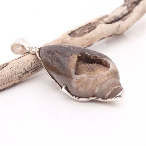 Fossilised Sea Shell Pendant
