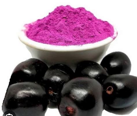 Spray Dried Jamun Powder At 500 Kilogram Taiyabpur Kapadvanj ID