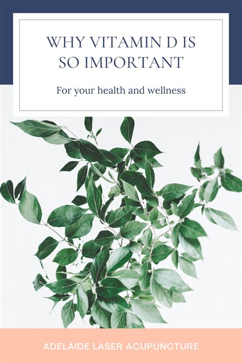 Why Vitamin D Is Important For Your Health Siew Lum