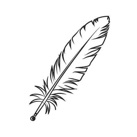 Premium Vector Quill Vector Black And White Feather Vector