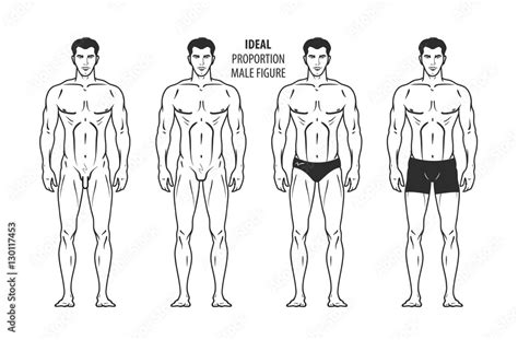 Ideal Male Figure