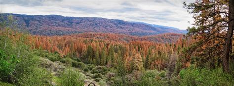 resources nsf neon open data to understand our ecosystems