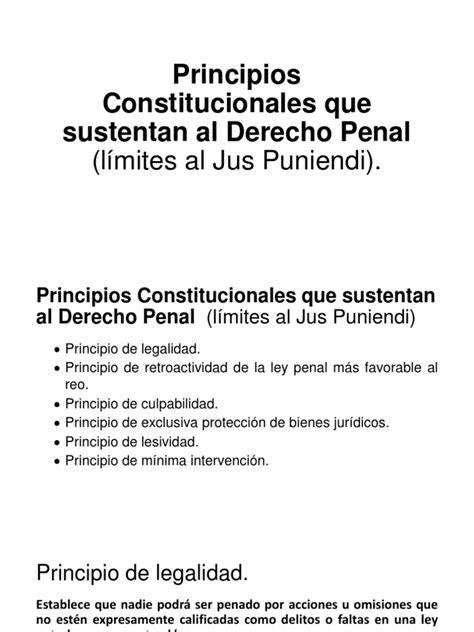 Principios Constitucionales Que Sustentan Al Derecho Penal Pdf