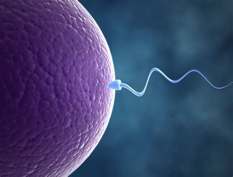 51 Sultry Facts About Sex Sex Information And Tips Live Science