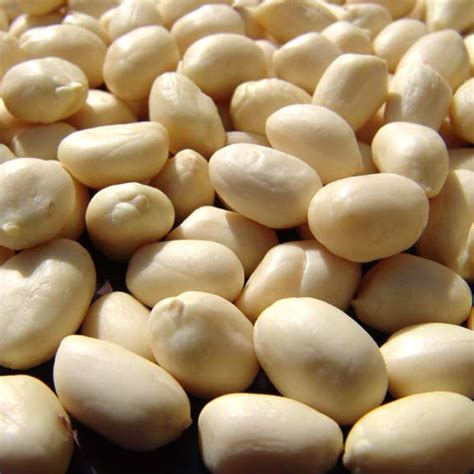 Blanched Peanut Kernel Rizhao Xinglu Peanut Foodstuffs Co Ltd