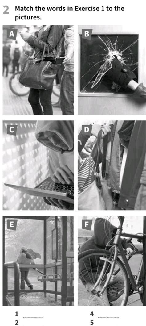 Match The Words In Exercise To The Studyx