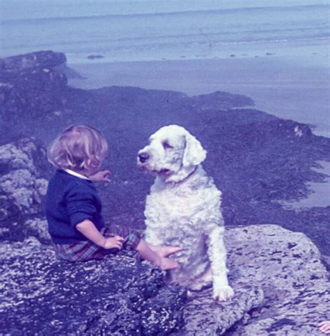 Chew Barker Collars Chew Barker Collars