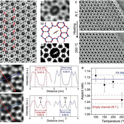 The 3d Idpc‐stem Imaging Of The Surface Terminations In Zsm‐5 A D The