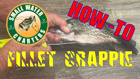 How I Fillet Crappie Youtube