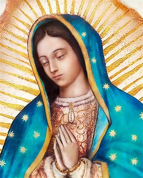 hijosdelavirgenmaria on Instagram NOVENA A LA VÍRGEN DE GUADALUPE