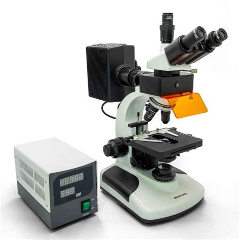 Saxon Fluorescent Biological Microscope 40x 1600x Sidereal