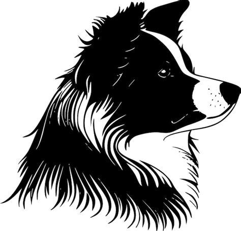Premium Vector Border Collie Black And White Isolated Icon Vector