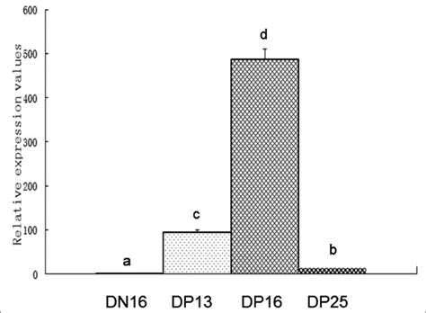 Relative Expression Value Of Isg15 Mrna In Day 16 Non Pregnant Days