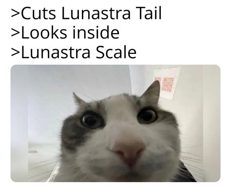 Tail Swipe Range R Monsterhunterworld