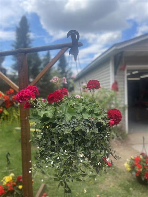 Heidi Wolfe Heidi Wolfe Added A New Photo