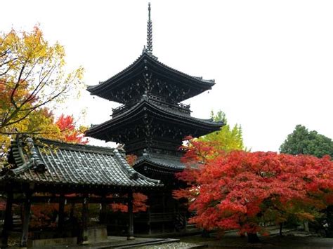 真如堂 京都紅葉便り2008 西陣に住んでます