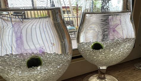 Garden Eipblog Garden Eipblog