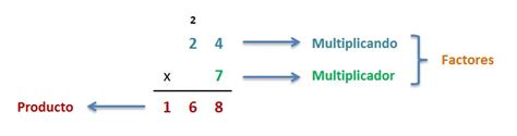 MULTIPLICACIÓN POR 2 CIFRAS Cuarto de Educación Primaria