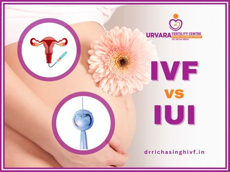 Iui Vs Ivf Comparing The Differences Success Rates And Costs Dr Richa Singh